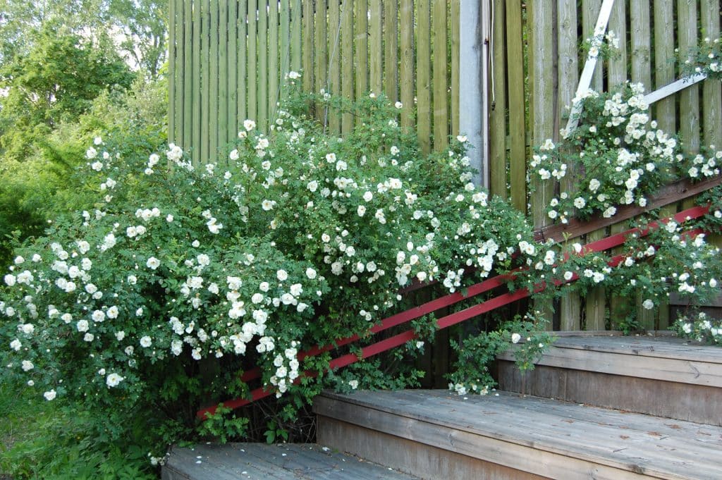 Liity mukaan toimintaan - Lopen teatteri